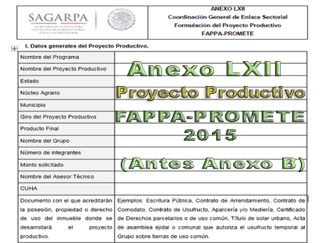 Certificado de Uso Común: Todo lo que necesitas saber - La Escuela y ...