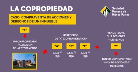 Definición de copropiedad: concepto y características en derecho civil ...