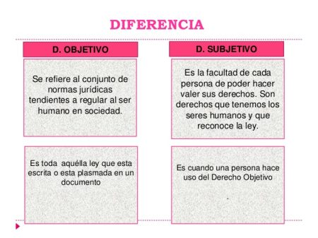 Descubre ejemplos de derecho objetivo y subjetivo en esta guía completa ...