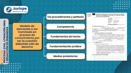 Formato Ejemplo de Demanda Civil: 20 Modelos para tu Caso - La Escuela ...