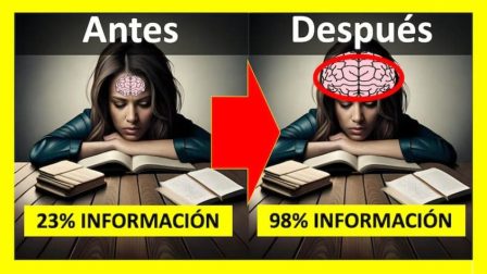 Descubre las mejores técnicas de estudio para memorizar de forma ...